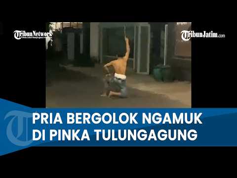 MALAM-MALAM, PRIA BERGOLOK DUA KALI NGAMUK di Pinka Tulungagung, Warga Ketakutan