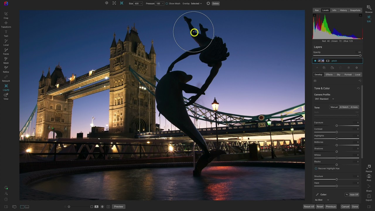How to use the Liquify Pinch Tool - YouTube