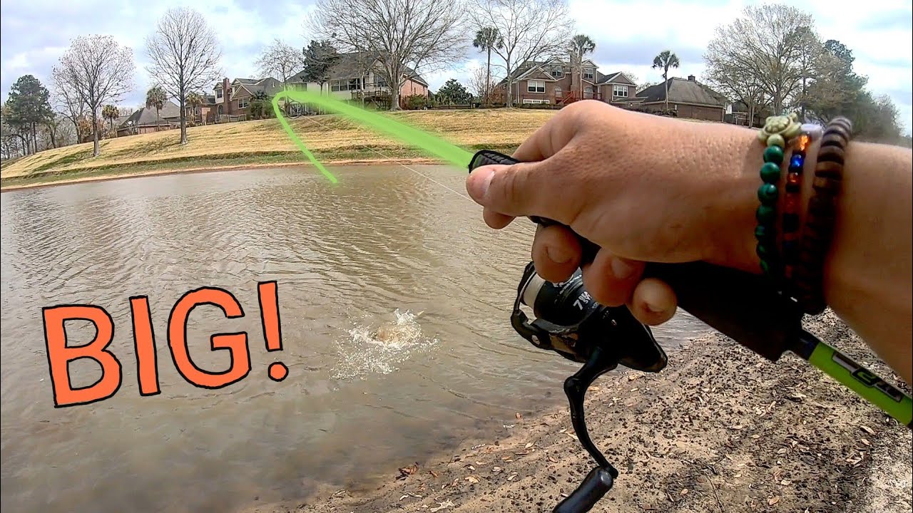 This HAWG Smashed My Lure In Six Inches of Water!!! - YouTube