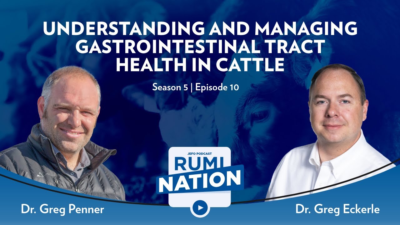 S5E10 | Understanding and Managing Gastrointestinal Tract Health in ...