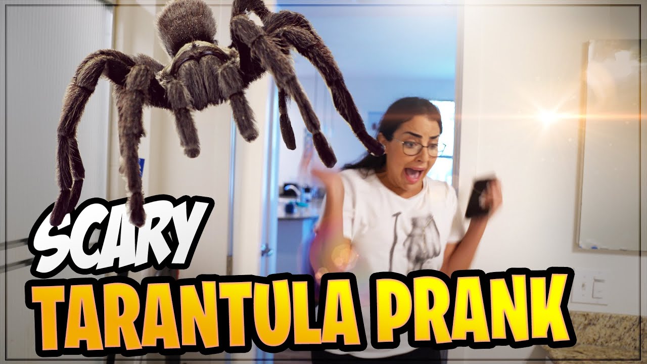 REAL SCARY SPIDER PRANK On Wife!! - YouTube