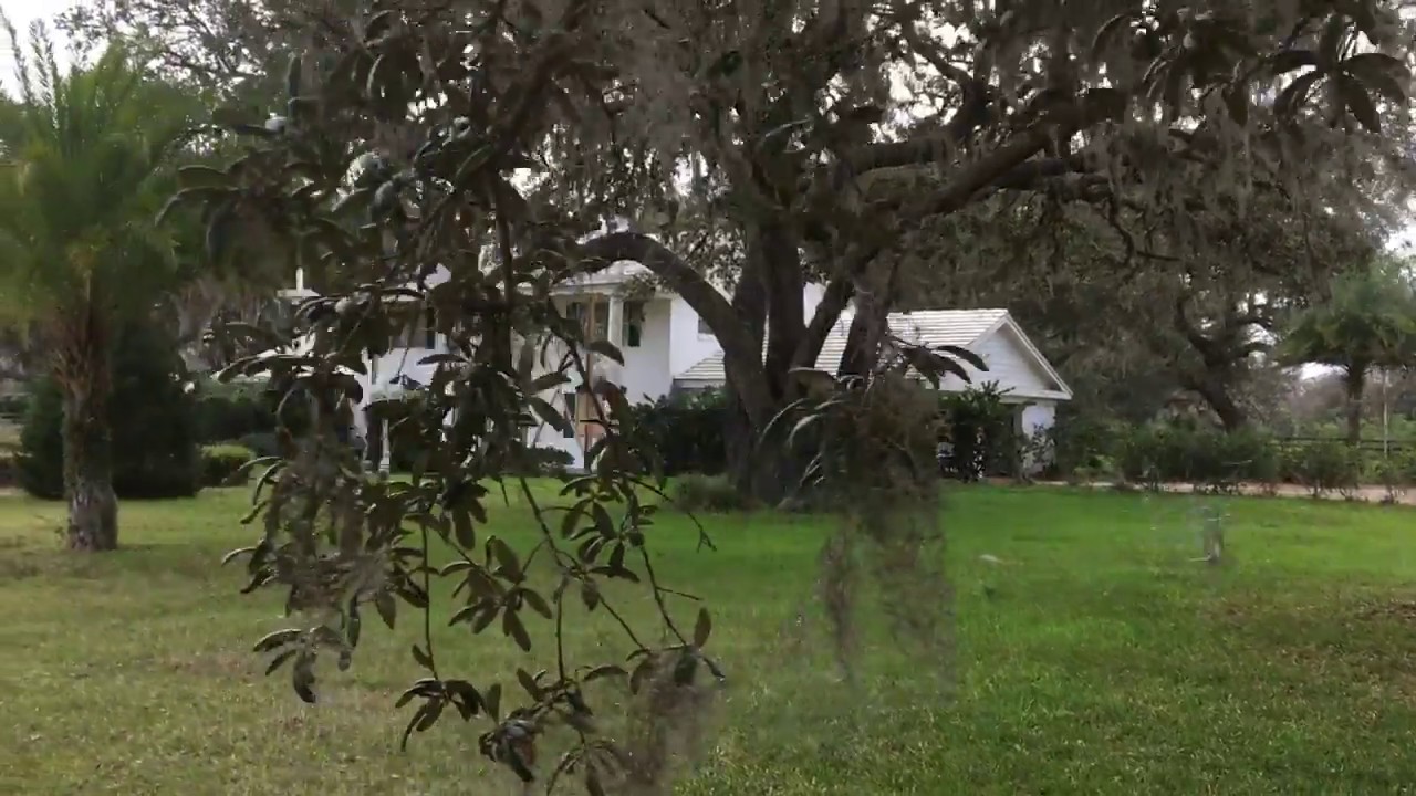 Randy Rhoads Final Flight - Flying Baron Airstrip Leesburg, FL pt2 ...