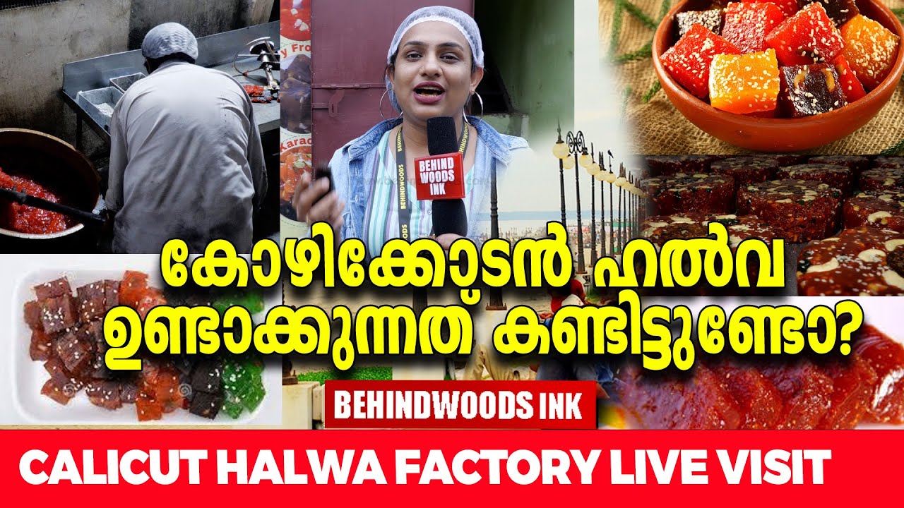 കോഴിക്കോടൻ ഹൽവ ഉണ്ടാക്കാൻ ഇത്രക്കും പാടായിരുന്നോ? 😱 Calicut HALWA ...