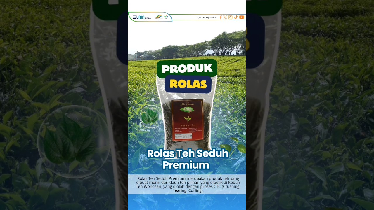 Rolas Teh Seduh Premium Dibuat dari daun teh pilihan yang di petik di ...