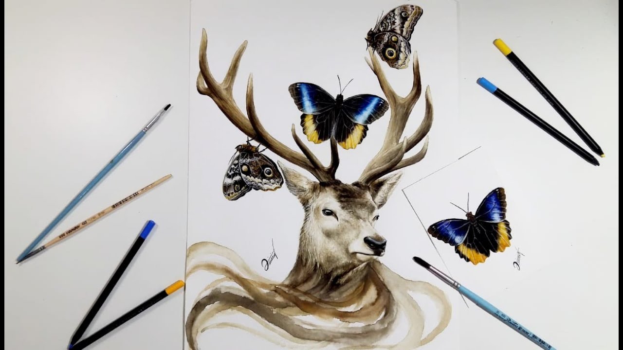 Speed Drawing - DEER【Aquarela /Watercolor Speedpaint】 - YouTube