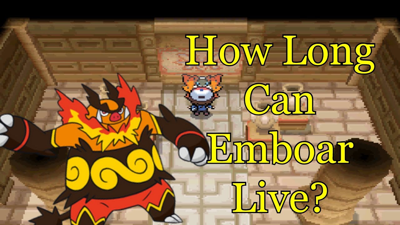 How Long Can We Keep Emboar Alive In White 2 Challenge Mode Hardcore ...