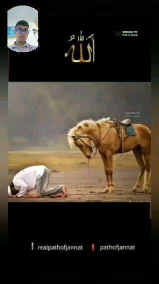Every animal respects Allah.Love Islam, #beautiful #islam #islamic # ...