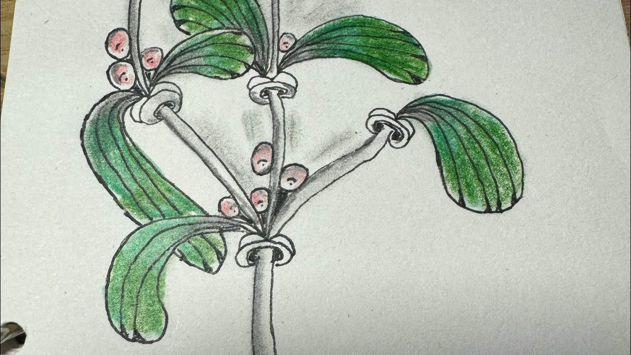 Art by me Doodle time A new Zentangle from Annie Reiser CZT Mistley ...