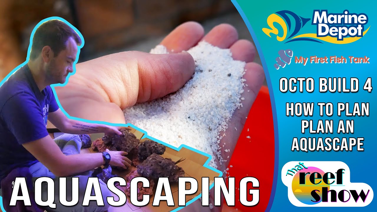 Planning and building an Aquascape: Reef Octopus Build Part 3! - YouTube