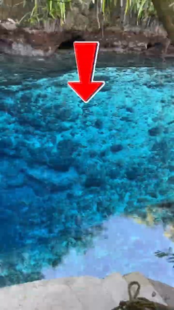 Microscopic Look at River Water - Beautiful, But Beware! - YouTube