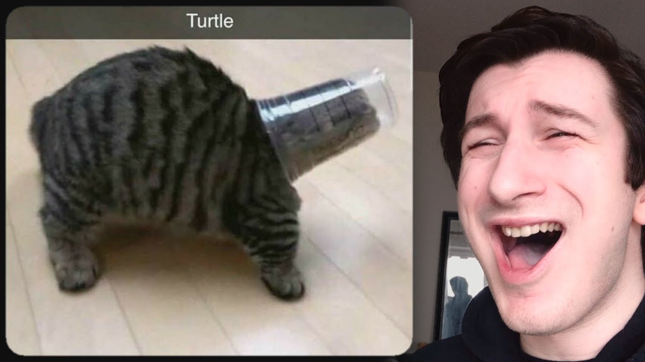 Rating your BROKEN HUMOR. Meme Review - YouTube