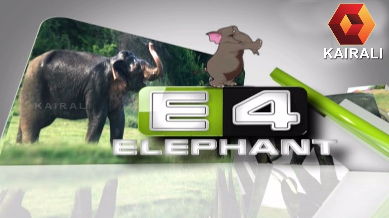 E4 Elephant - Promo - YouTube