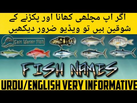 Fish Names In Urdu English And Details About Fish species In Saltwater ...