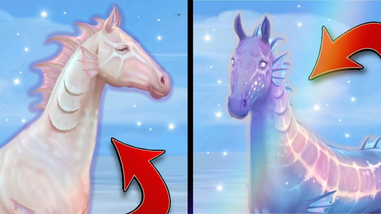 TELLINA I KAMPOS JUŻ W GRZE! - Star Stable Aktualizacja - YouTube