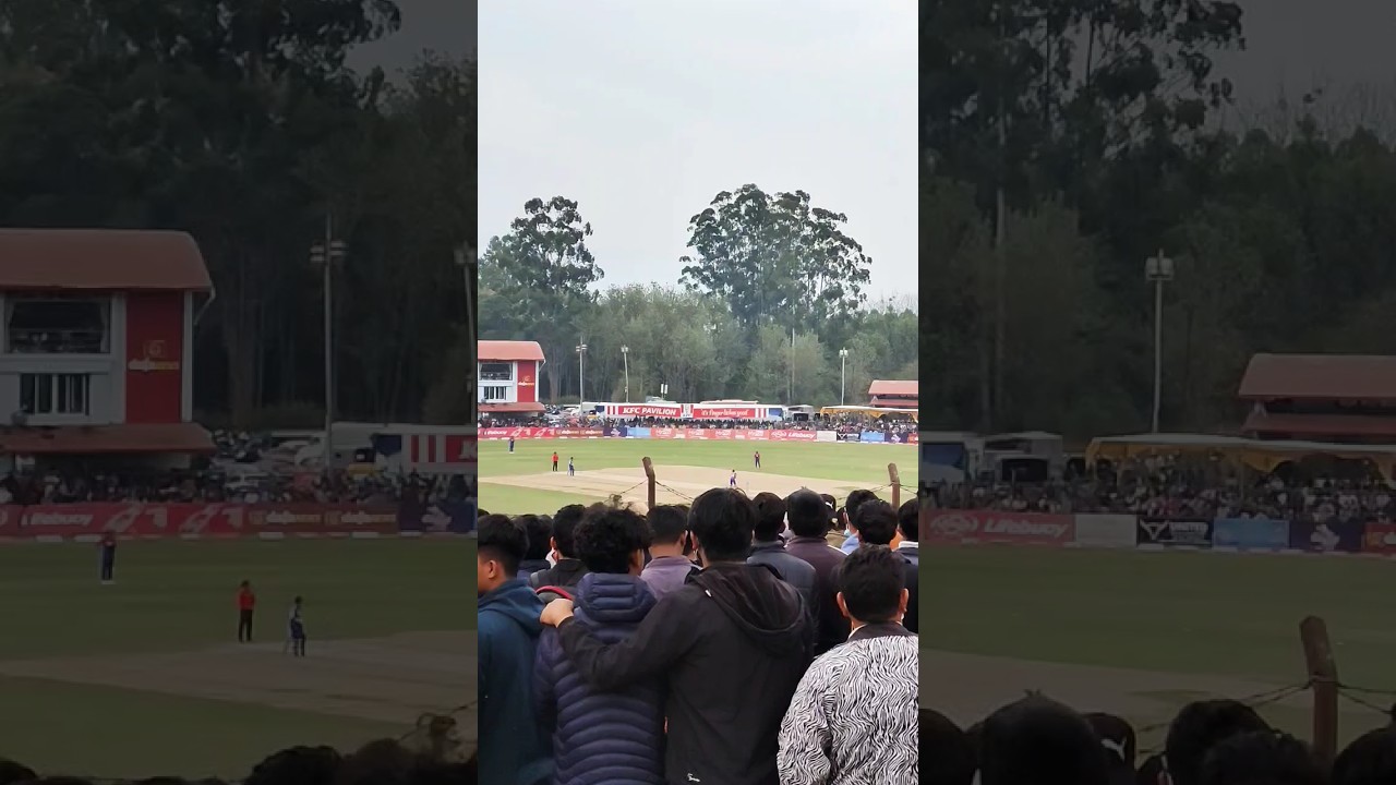 Nepali cricket fan singing Rato ra chandra surya #icc #cricket # ...