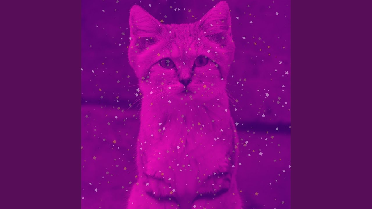 Sprightly Moods for Friendly Cats - YouTube