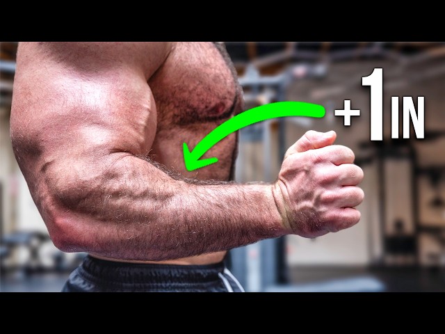 Jacked Forearms The Ultimate Guide To Arm Workouts Muscle & Fitness