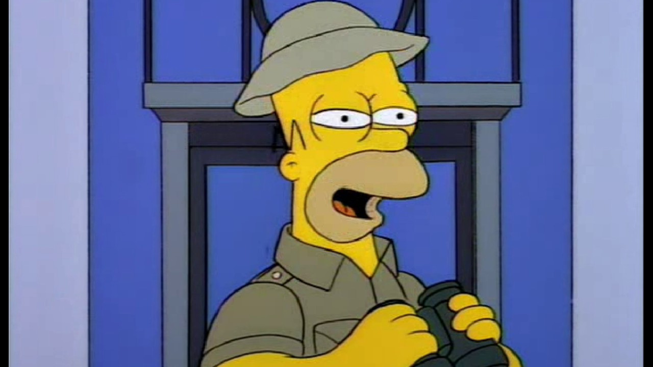Cat Burglar Simpsons Molloy | Simpsons Wiki | Fandom