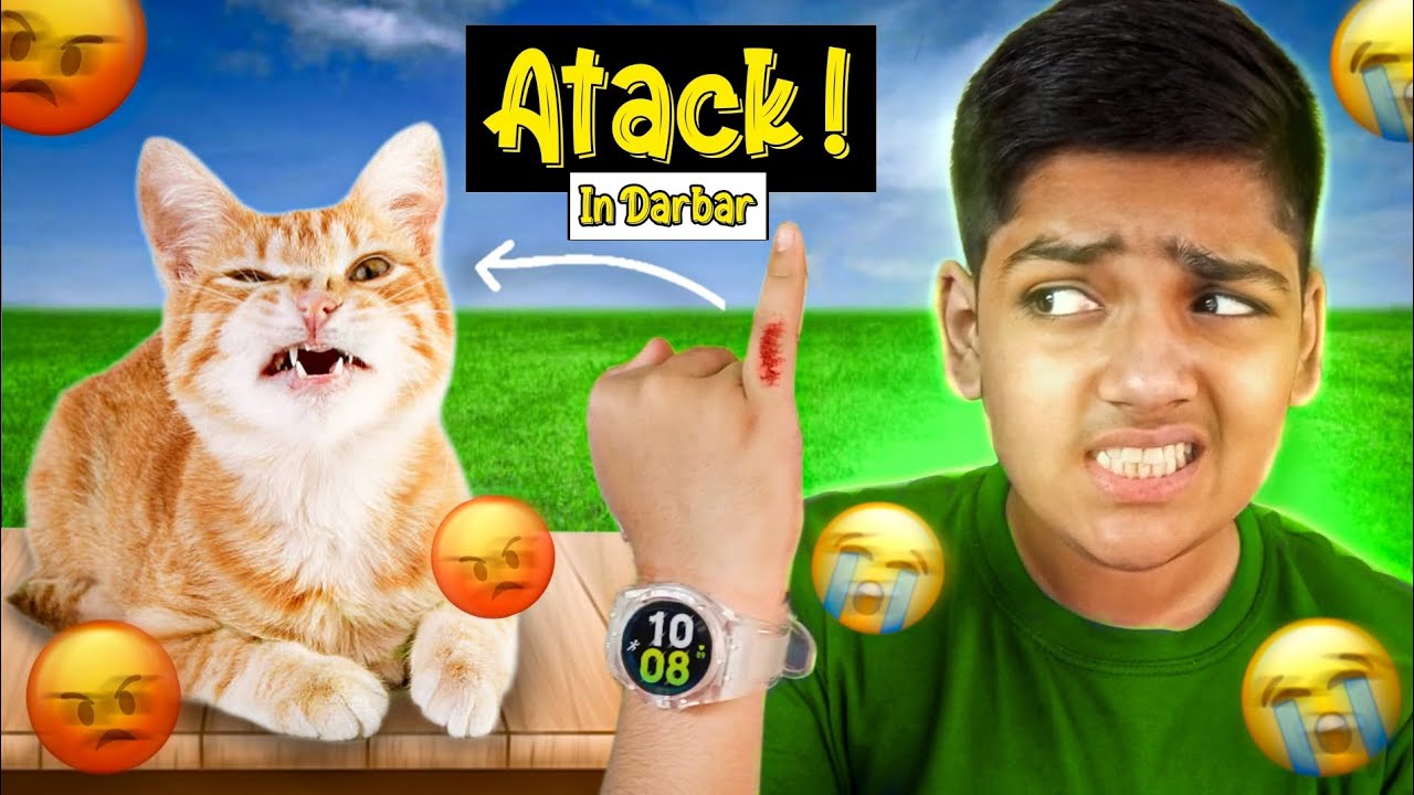 Darbar Mai Cat 🐱 Ne Hussain 🧒Pr Atack Kr Diya☠️ - YouTube