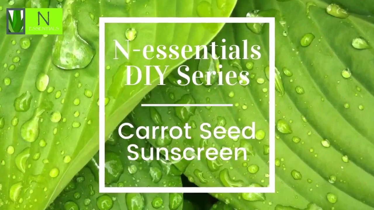 How To Make Carrot Seed Sunscreen - YouTube