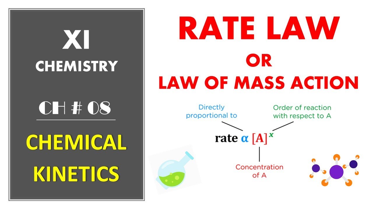 Chemical Kinetics || Rate Law and Rate Expression || XI Chemistry Lec-2 ...