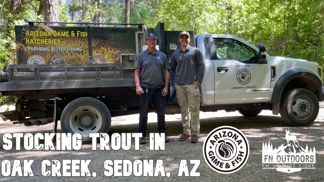Stocking Trout/Echando Trucha in Oak Creek, Sedona, AZ @azgfd Part 1 ...