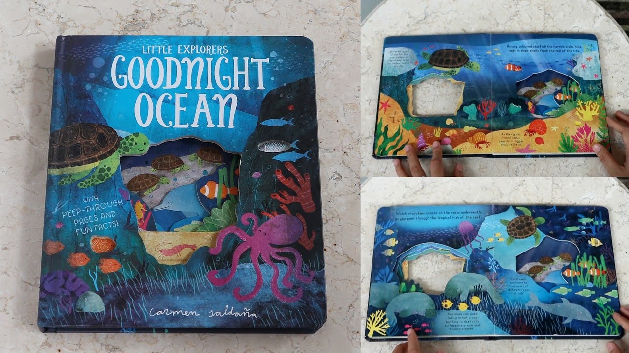 GOODNIGHT OCEAN | Children's Book | BBW - YouTube
