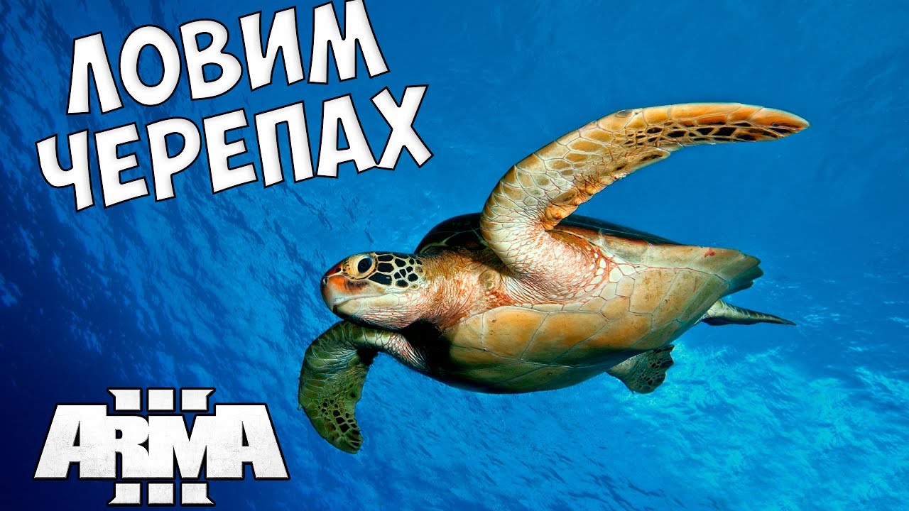 Arma 3 altis life wallpaper - cacheosi