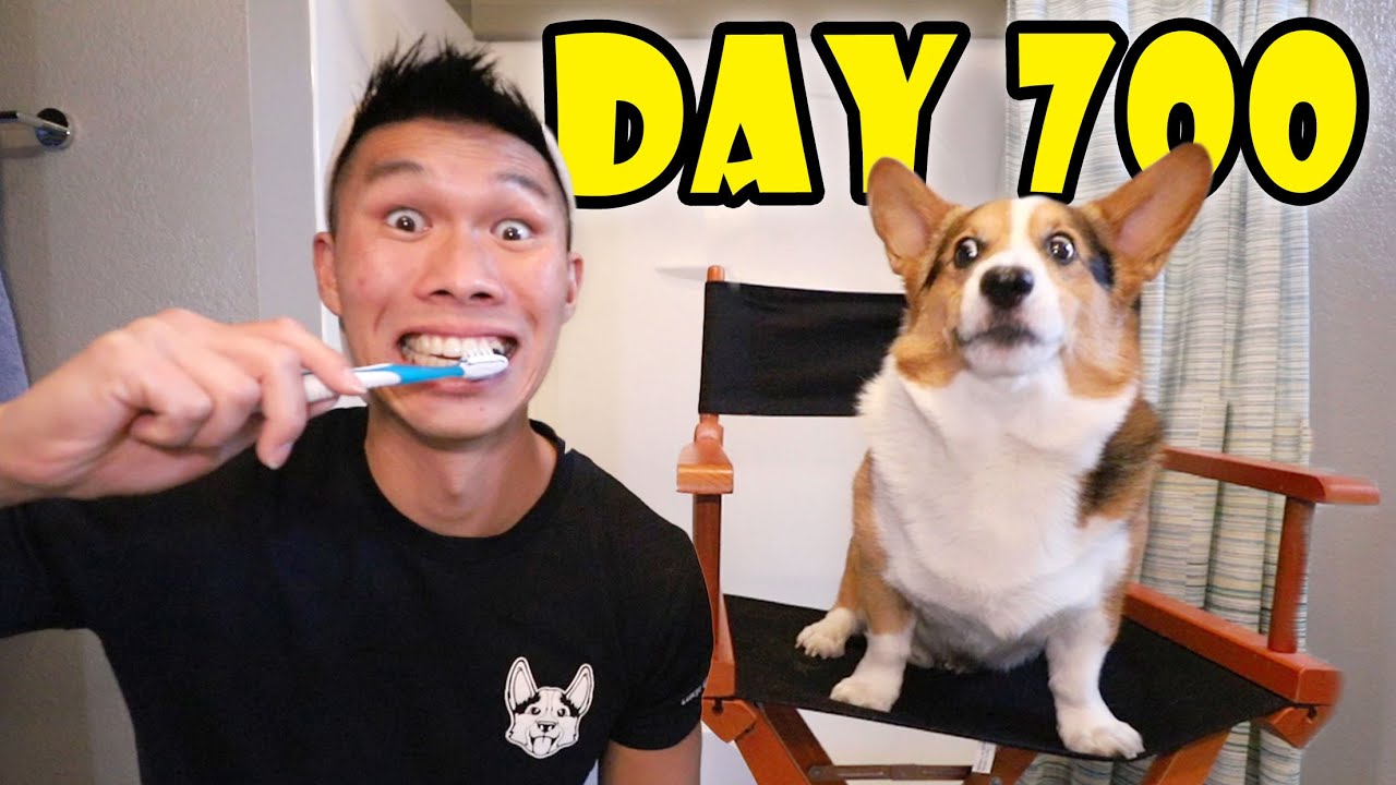 My Day In The Life w/a CORGI Dog - Daily Routine || Life After College ...