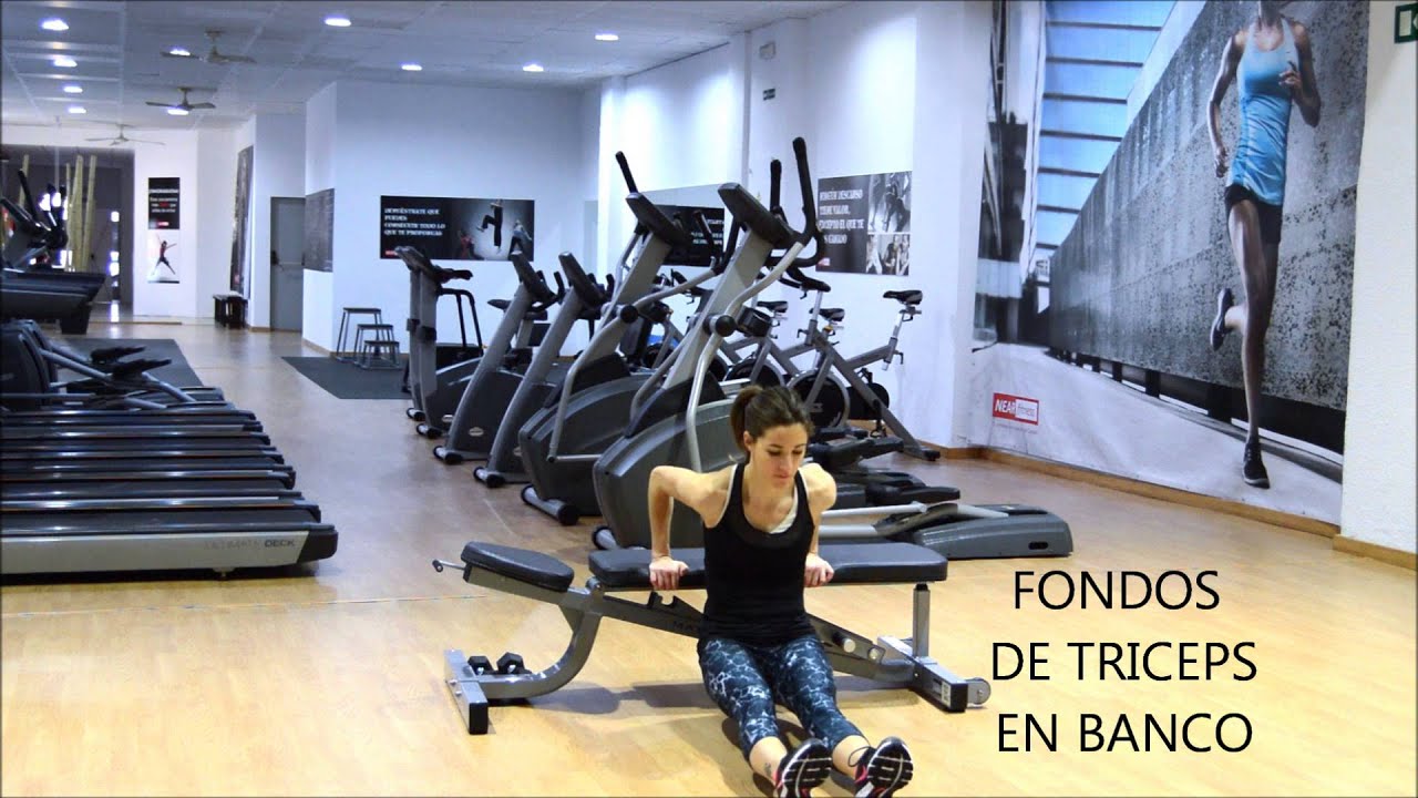 FONDOS DE TRICEPS EN BANCO - YouTube