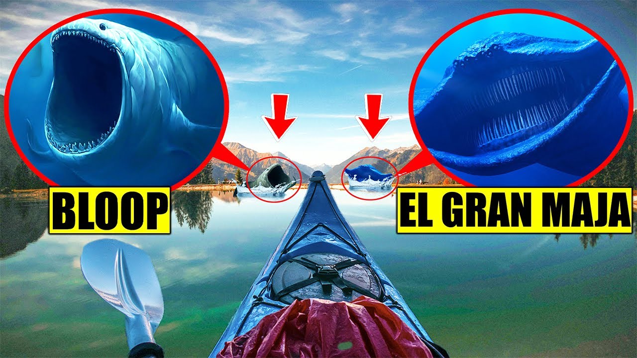 (GONE WRONG) DRONE CATCHES EL GRAN MAJA & BLOOP IN REAL LIFE | BLOOP ...
