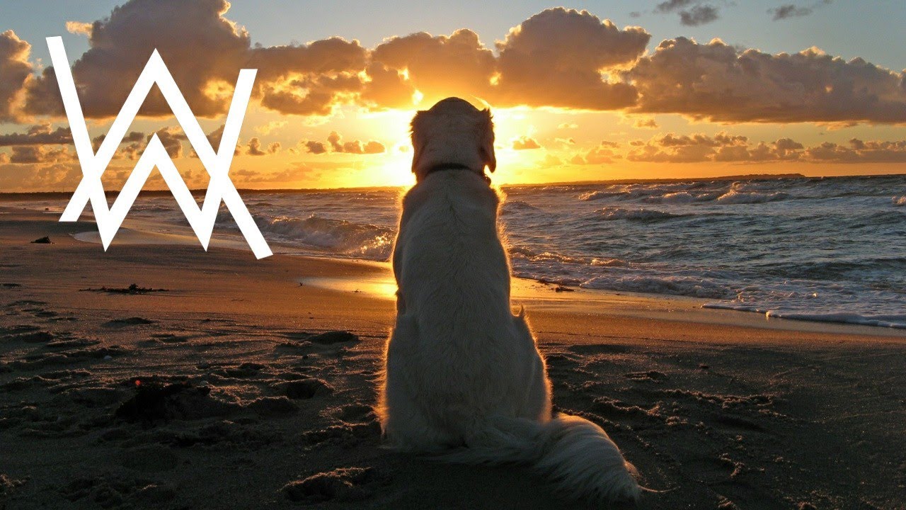 Alan Walker - Happy Walker (New Song 2020) - YouTube