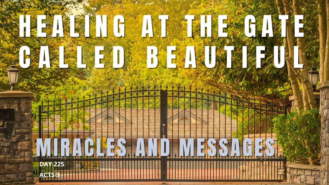 One Chapter a Day Bible Challenge | Day 225 | Acts 3 - YouTube