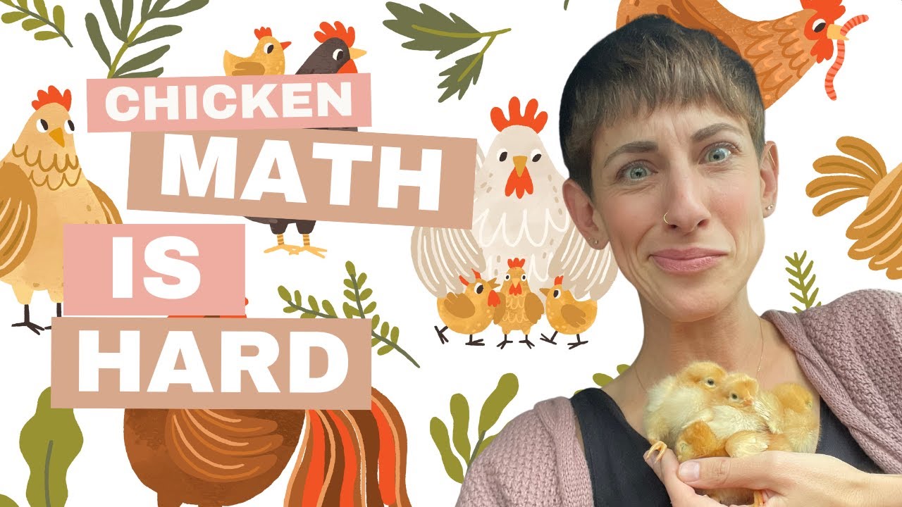 Chicken Math is Hard - first time chicken Mom holds chicks for the ...