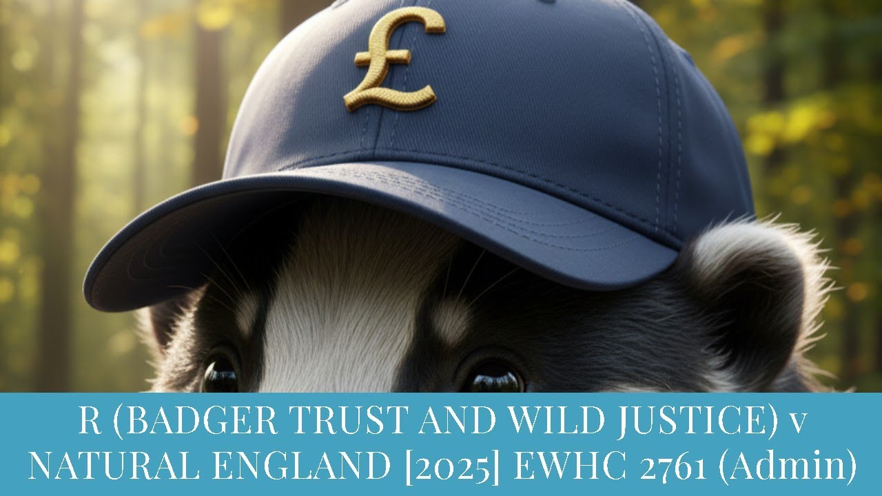 Aarhus Costs Caps CPR 46.27 | Badger Trust [2025] EWHC 2761