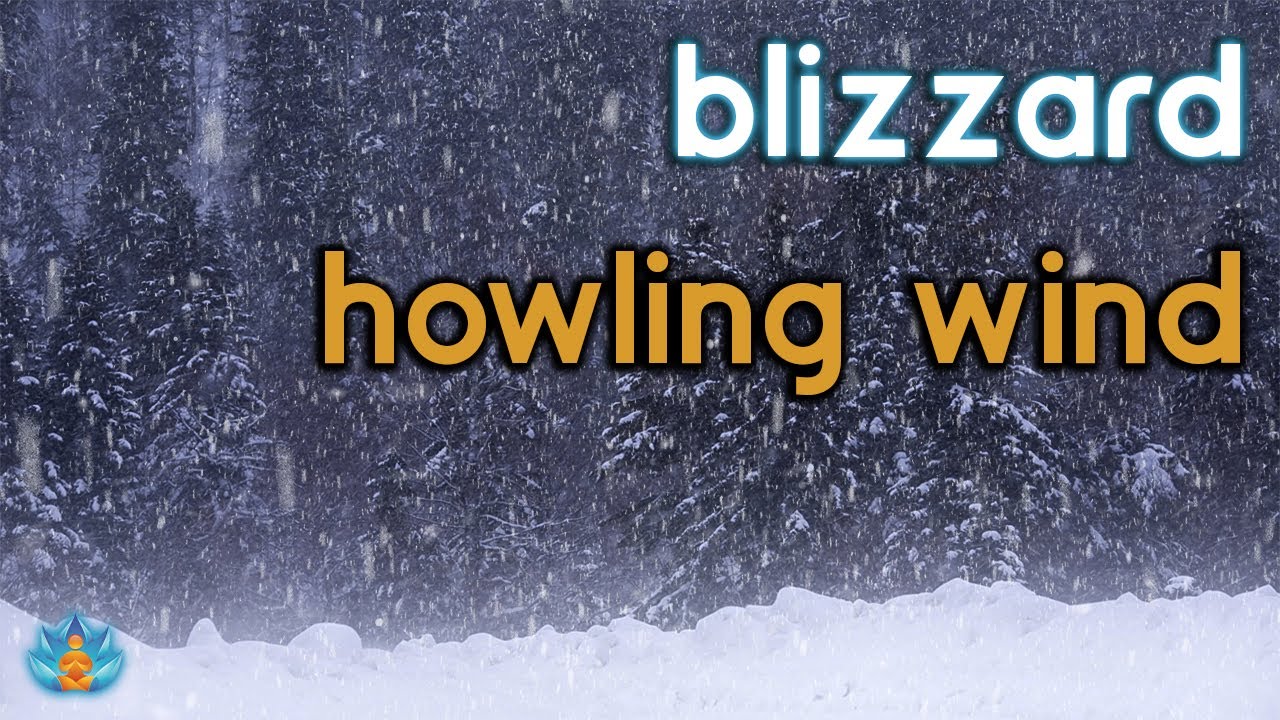 Snowstorm Howling Wind: Blizzard and Snow Sounds for Sleep / Study ...