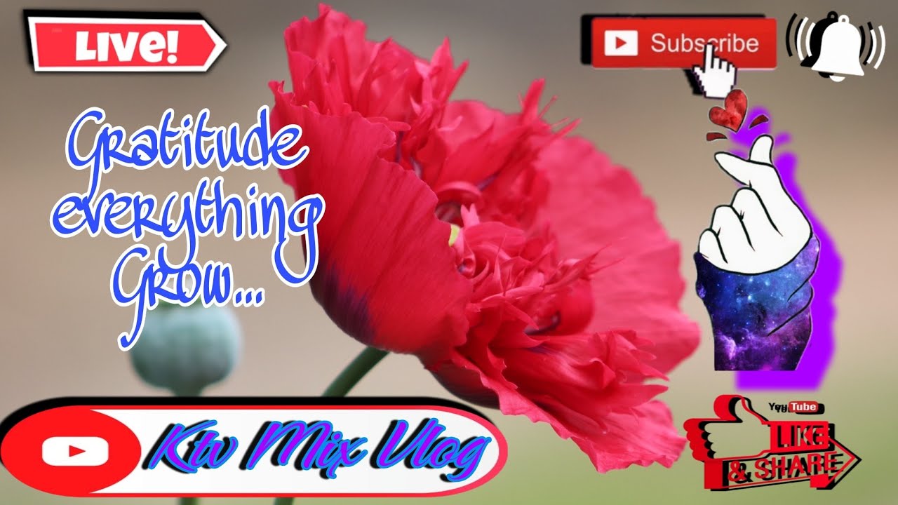 KtV MiX VloG is live(sls no.168) - YouTube