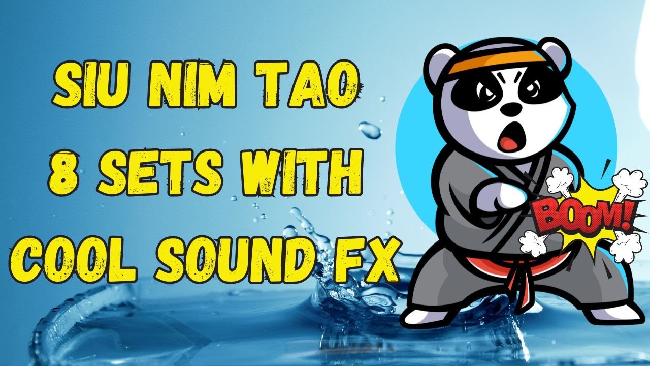 Mastering Yip Man's Siu Nim Tao: 8 Sets With Sound Effects - A Tribute ...