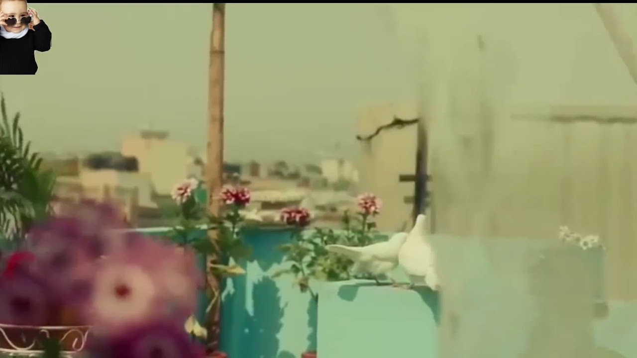 Best love kissing video 2019 - YouTube