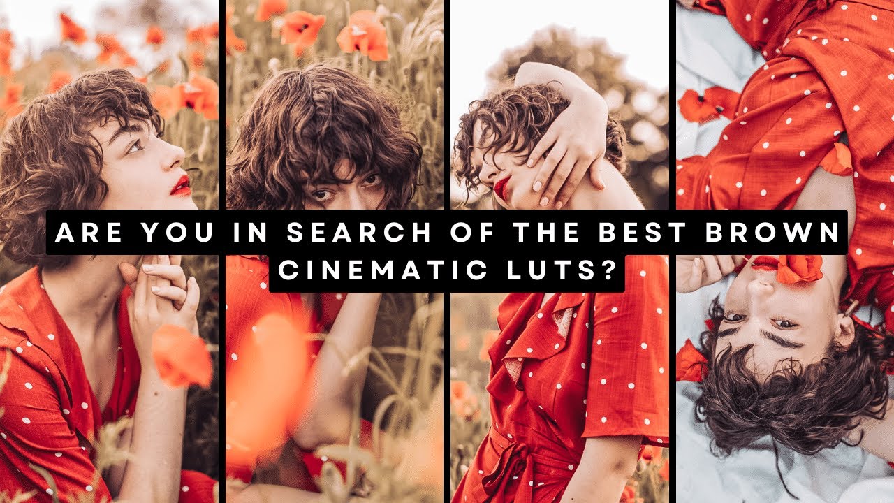 How to Achieve a Brown Bright Cinematic Look? Discover the Best LUTs ...