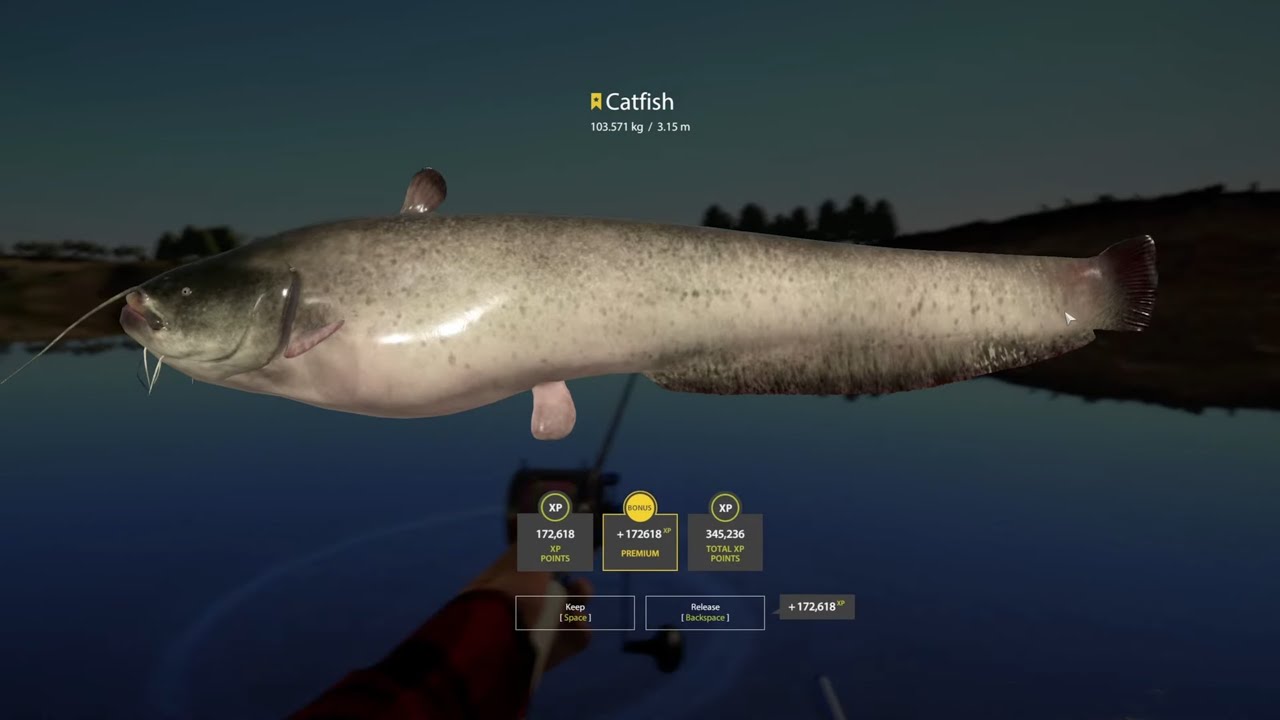 Russian Fishing 4 Trophy Catfish 103kg - YouTube