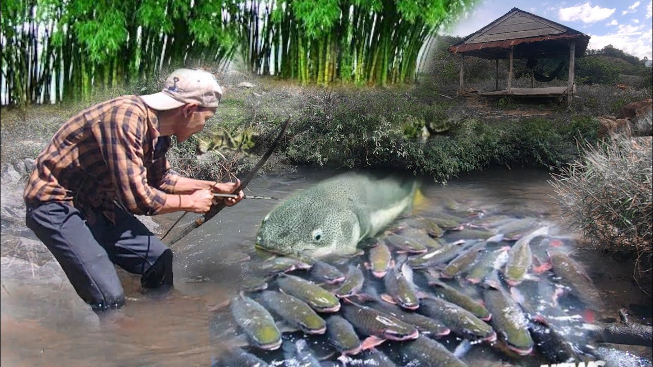 Catch fish with bow and arrow - fishing skills - fishing - Ep18 - YouTube