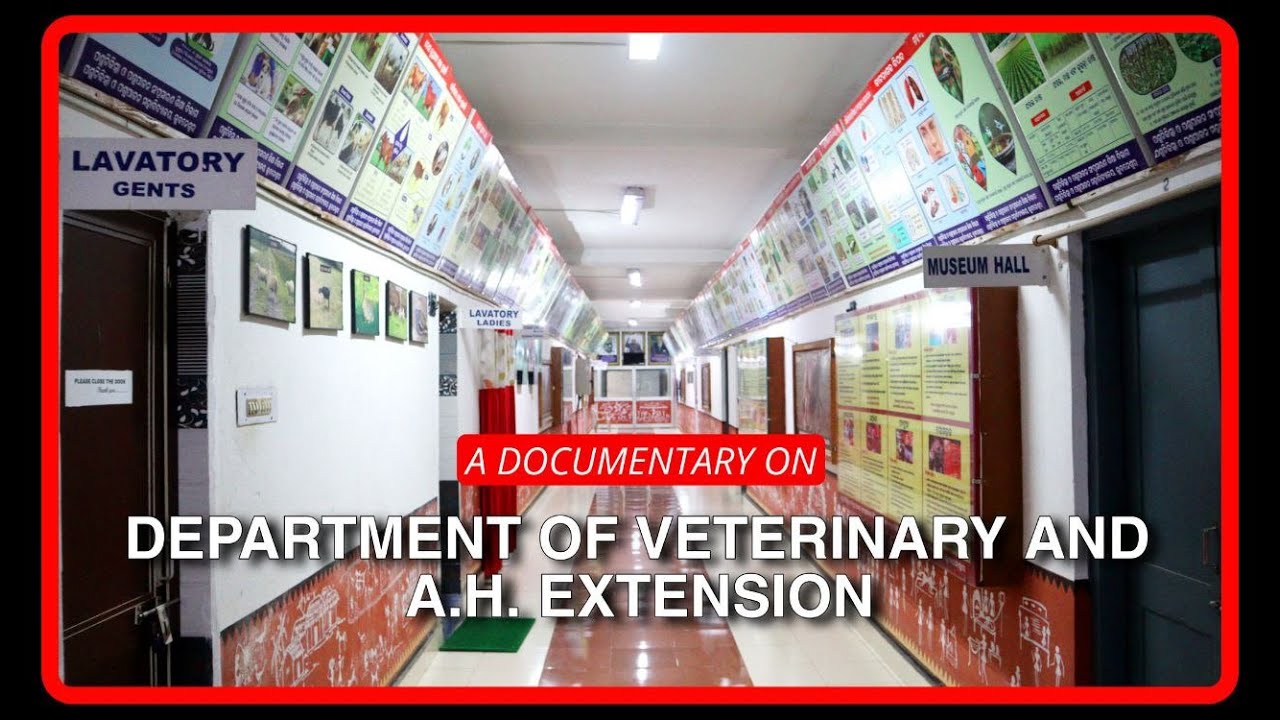 A Documentary on Department of Veterinary and Animal Husbandry ...