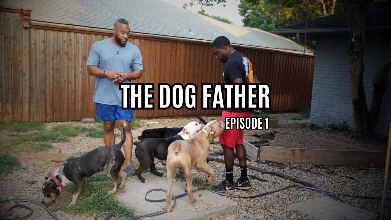 The Dog Father: "Trapped in Greatness" (Ep. 1) - YouTube