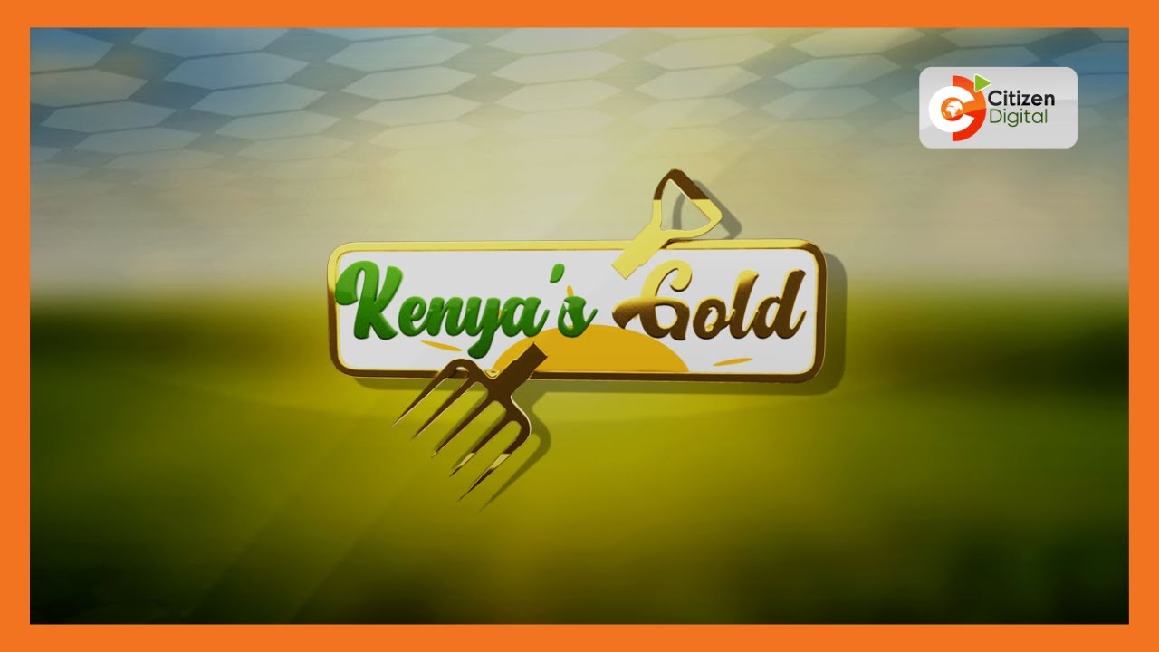 | Kenya's Gold | Arrow Root Farming: Agri- Nation - YouTube