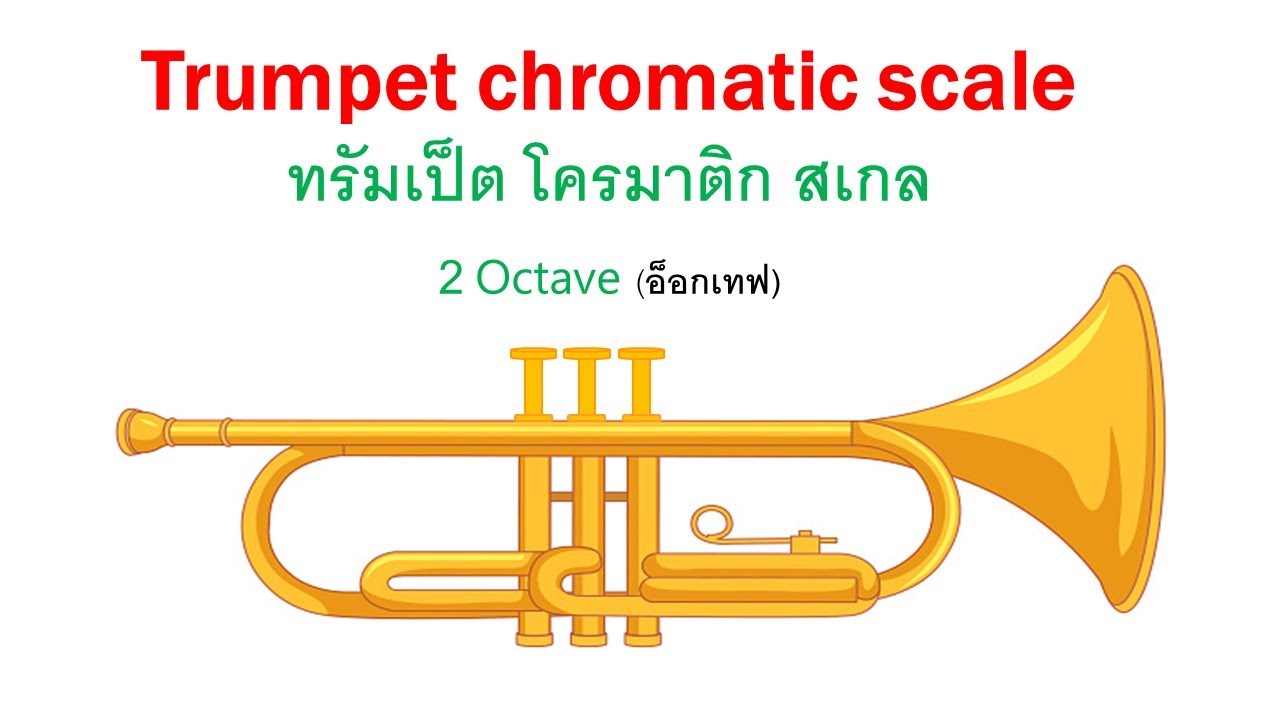 Trumpet chromatic scale ทรัมเป็ต โครมาติก สเกล 2 Octave - YouTube