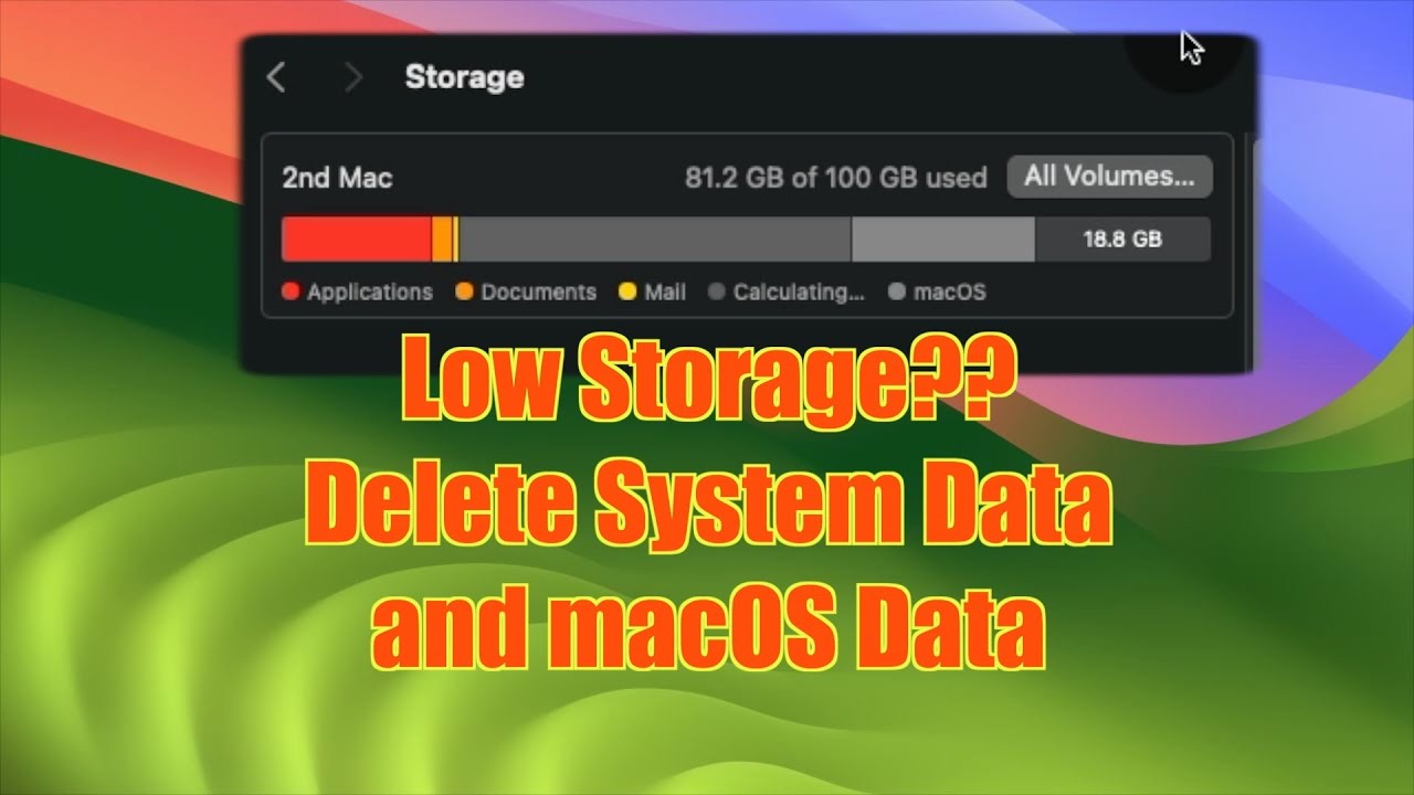 How to Free up System Data and fix low storage Errors - YouTube