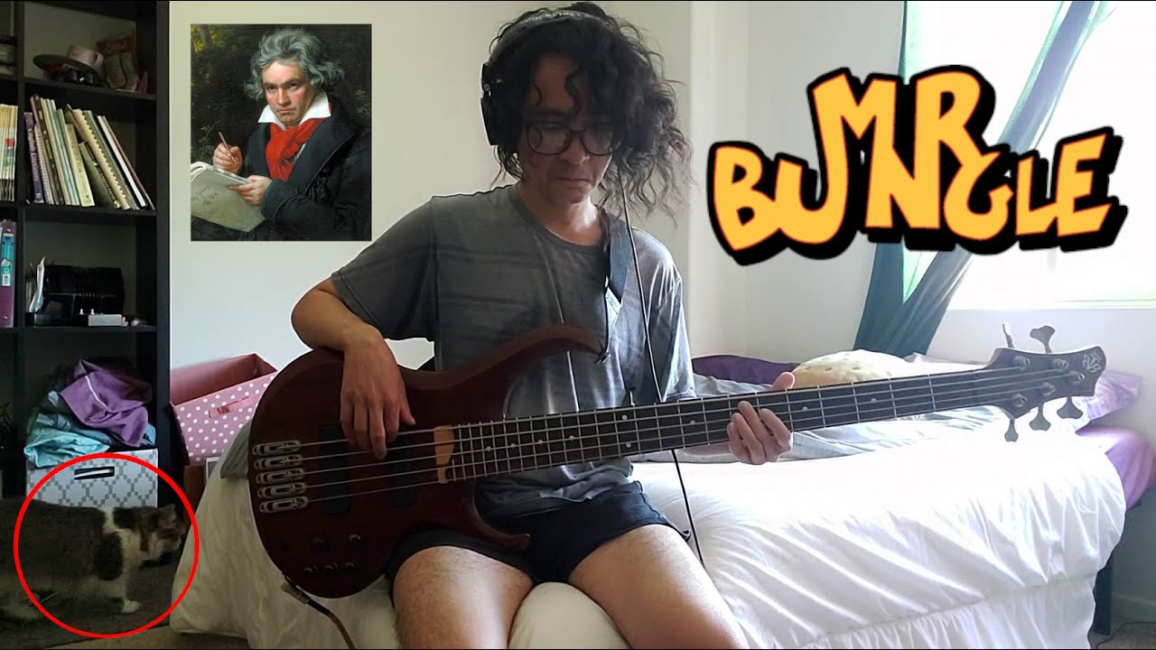Mr. Bungle - Slowly Growing Deaf (bass cover) - YouTube