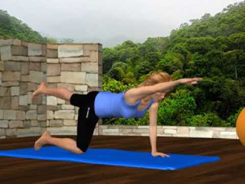 back strengthening exercise opposite arm and leg extension - YouTube