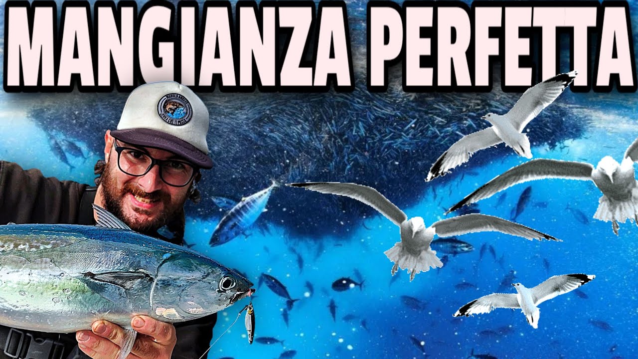 Mangianze a Genova - Pesca in Barca al Tonno, Tombarello e Alletterato ...